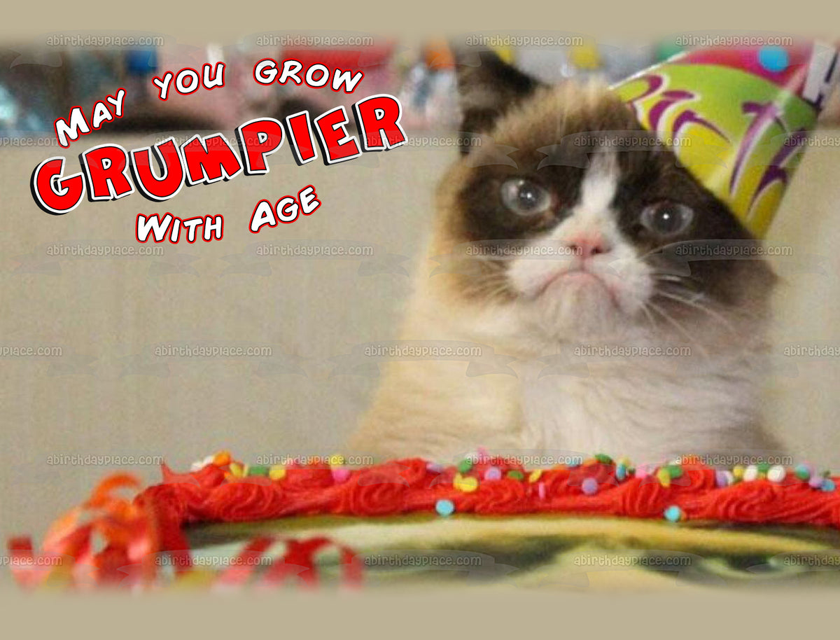 Birthday Grumpy Cat Meme