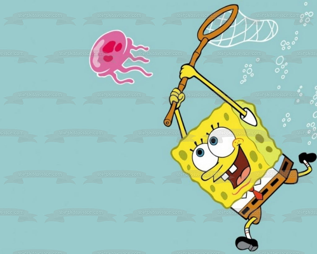 Spongebob Jellyfish Net