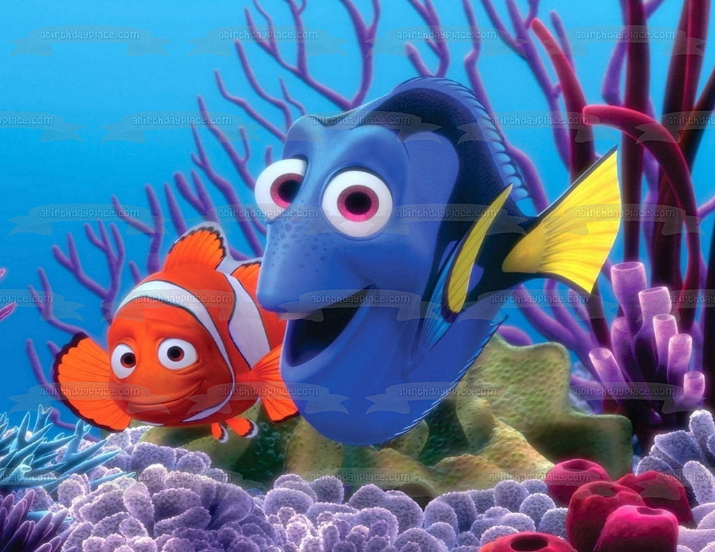 Finding Nemo Marlin And Dory
