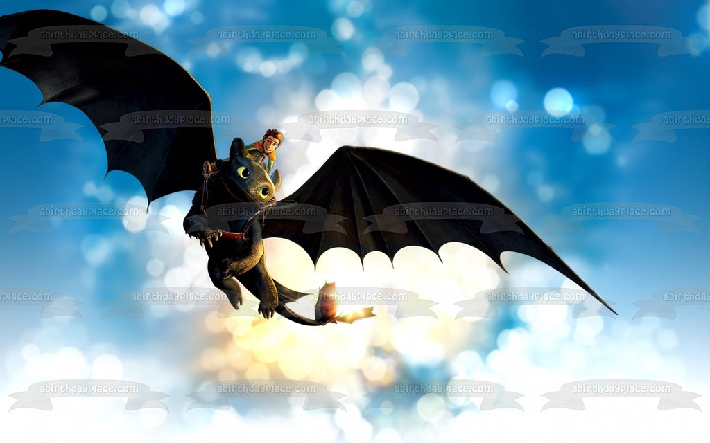 How To Train Your Dragon Hiccup And Toothless Flying