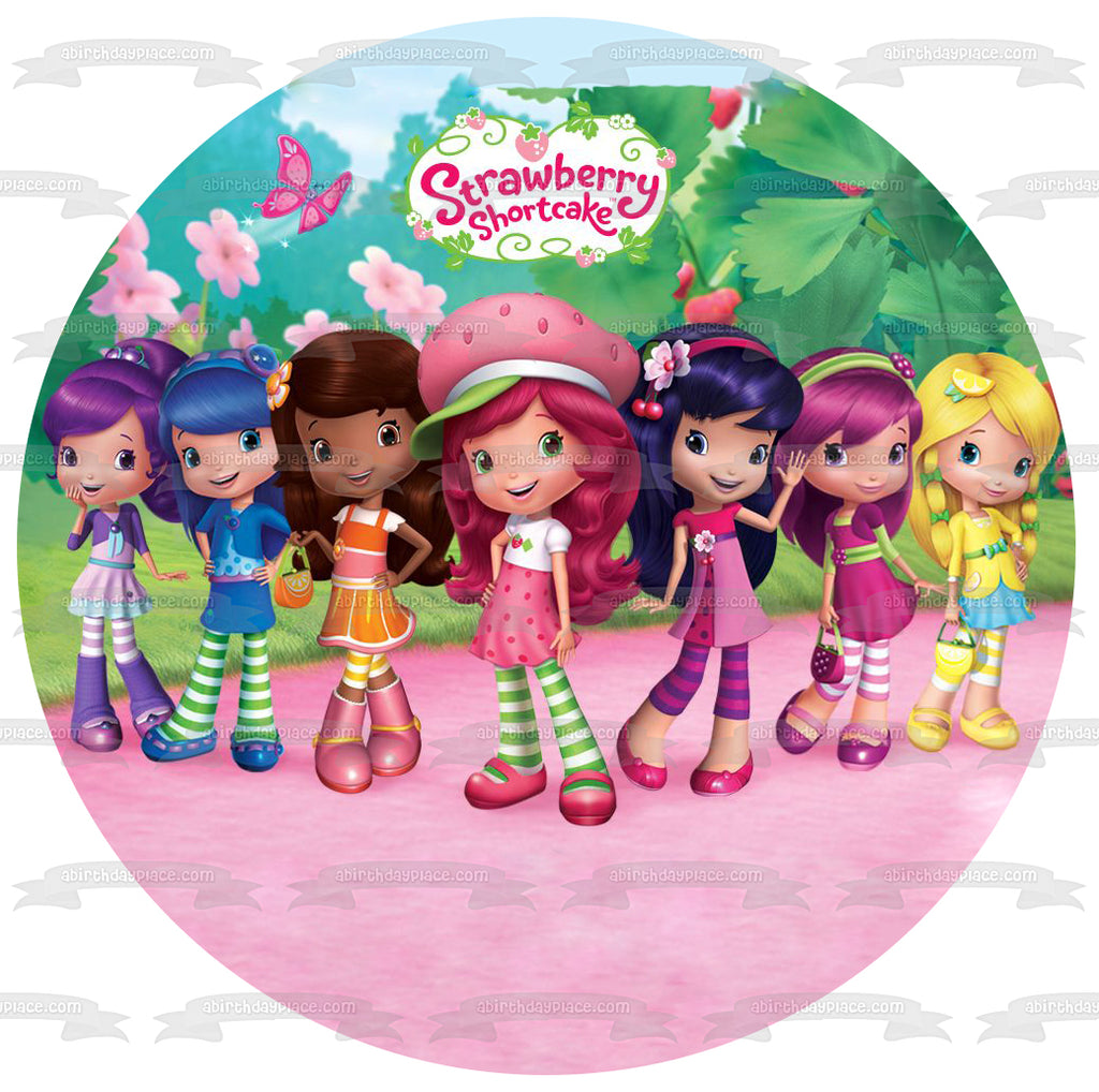 Raspberry Torte From Strawberry Shortcake