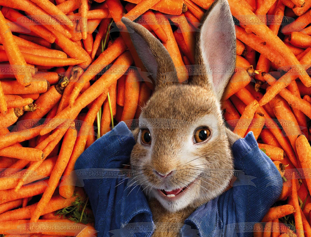 Peter Rabbit With Carrot